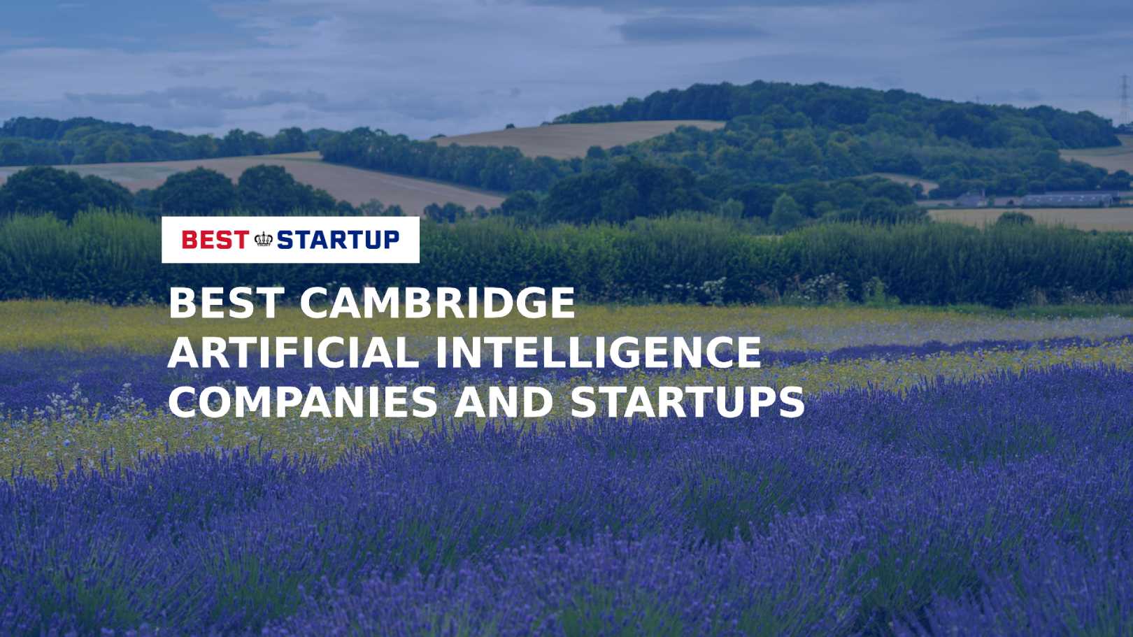 BestStartup.co.uk – Showcasing British Innovation - BestStartup.co.uk