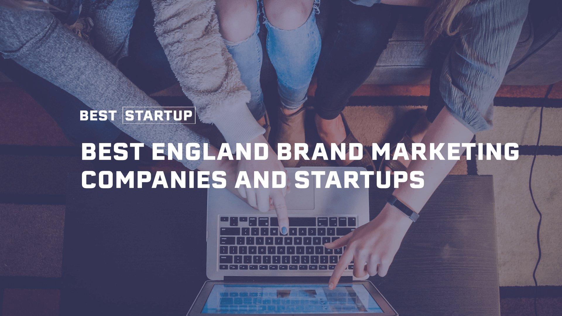 Breeding Brand Brilliance: A Dive into England’s Finest Marketing ...