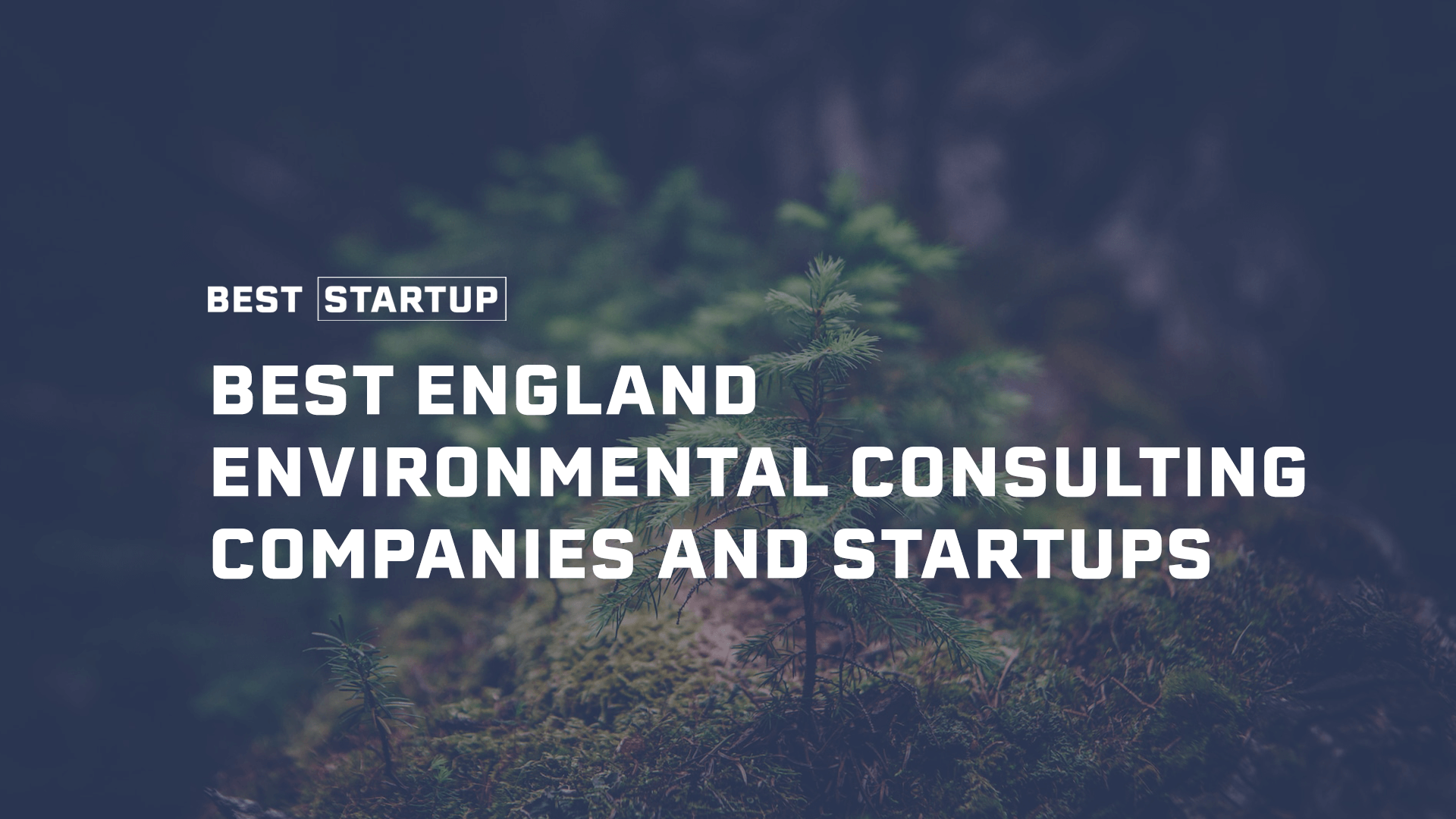 England's Eco-Vanguards: Leading the Charge in Environmental Consulting ...
